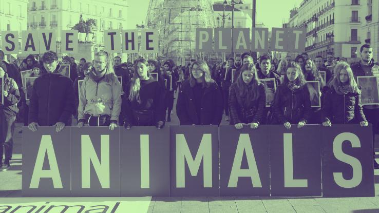 What 2021's Extinct Animals List Tells Us About Wildlife Conservation