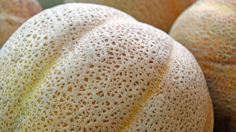 What Objects Weigh 1 Kilogram?