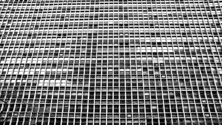 What Is the Difference Between Vertical and Horizontal Lines?