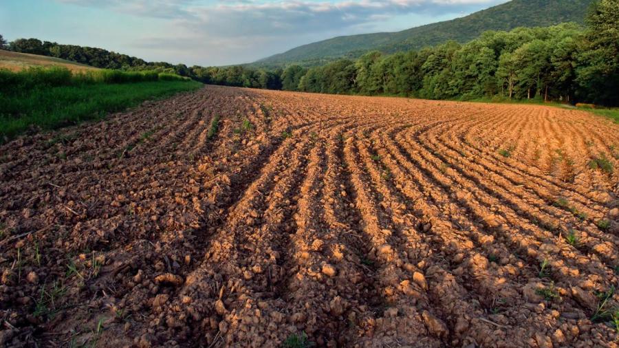 What Are Some Natural Resources in the Midwest?