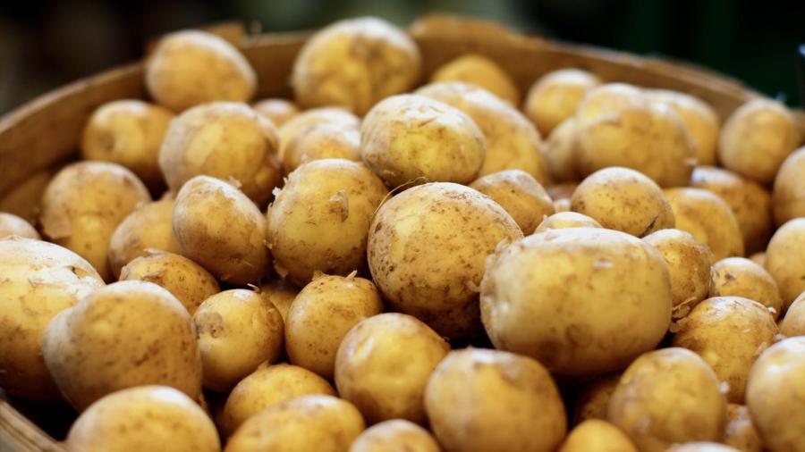 What Crops Are Grown in Ireland?