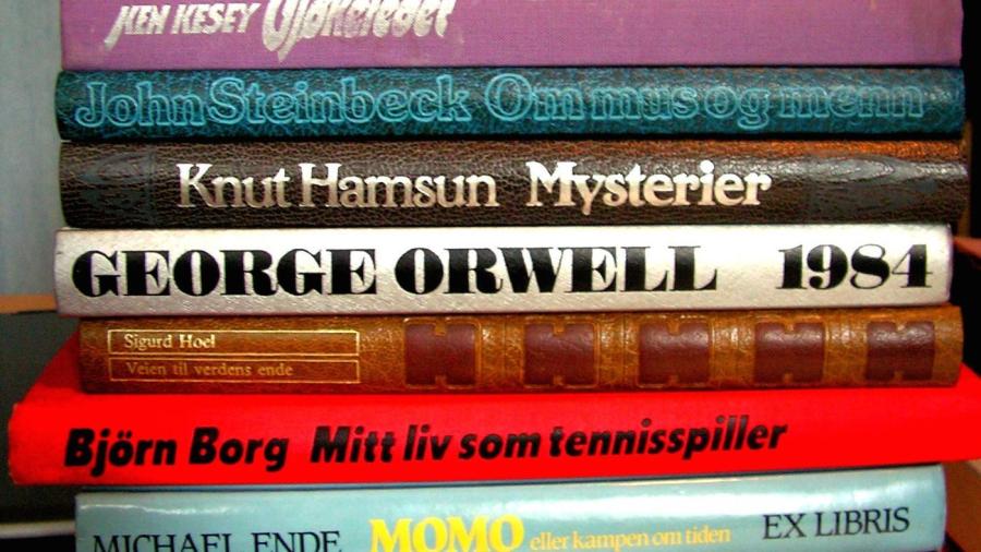 What Are Some Examples of Social Criticism?