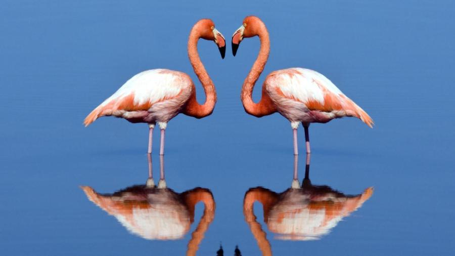 What Is Formal Balance?