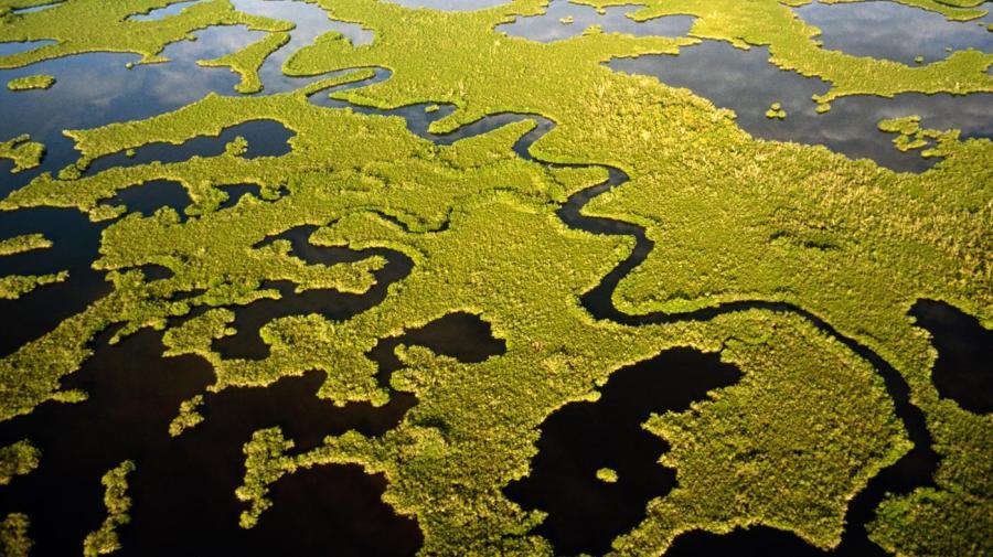 What Are the Major Landforms of the Southeast Region?