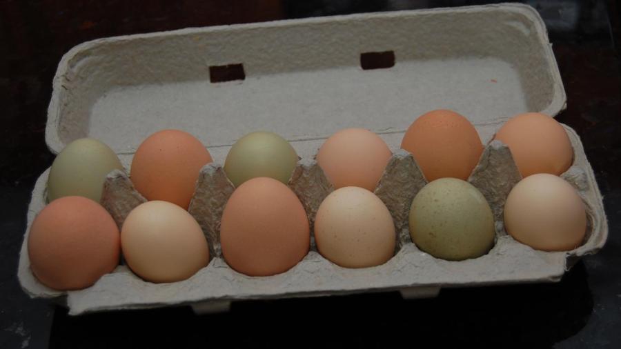 What Are Things That Come in Groups of Twelve?