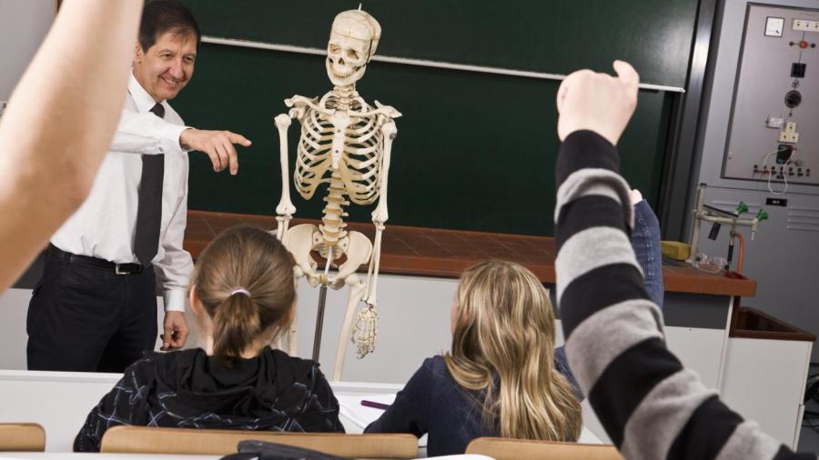 What Domain Do Humans Belong To?