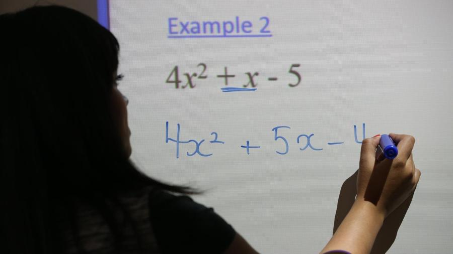 What Are Real Roots in Math?