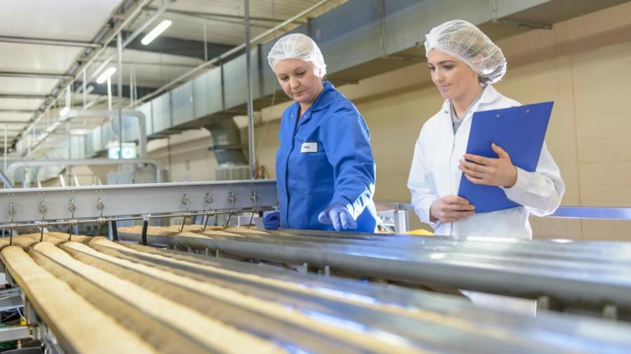 What Is Direct and Indirect Employment?