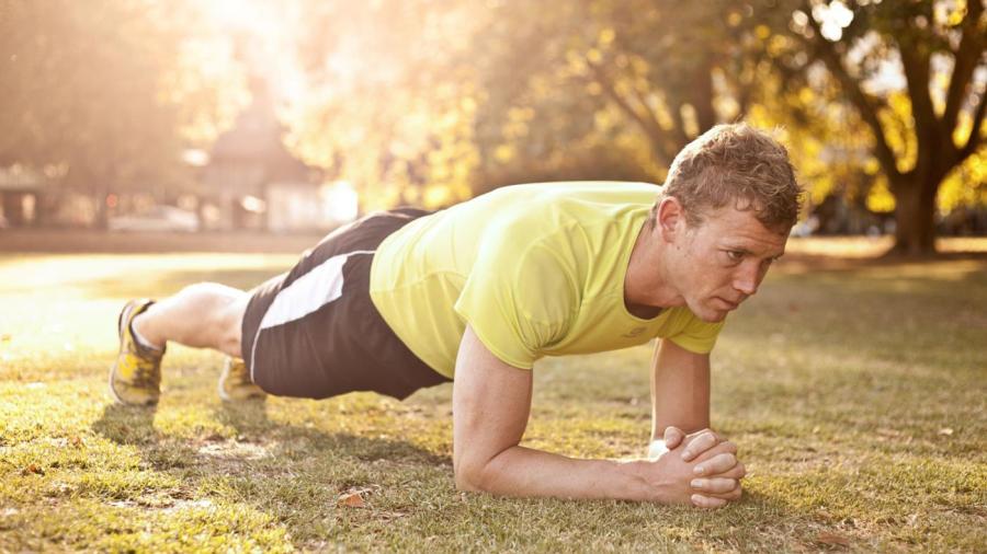 What Is the Modified Plantigrade Position?