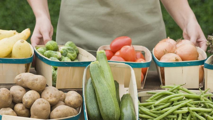 What Are Some Examples of Pure Competition?