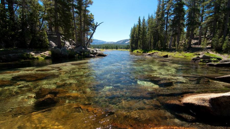 How Many Rivers Flow North?