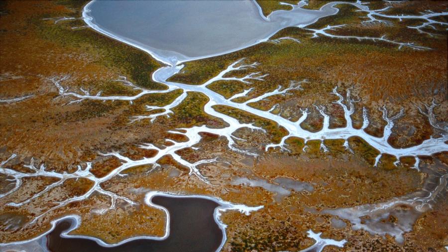 What Is an Example of a Splinter Party?