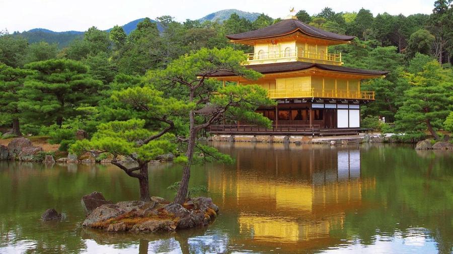 What Is a Homogeneous Society?