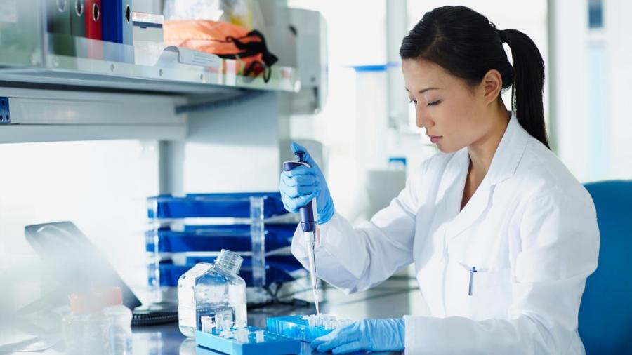 What Is a Laboratory Observation?