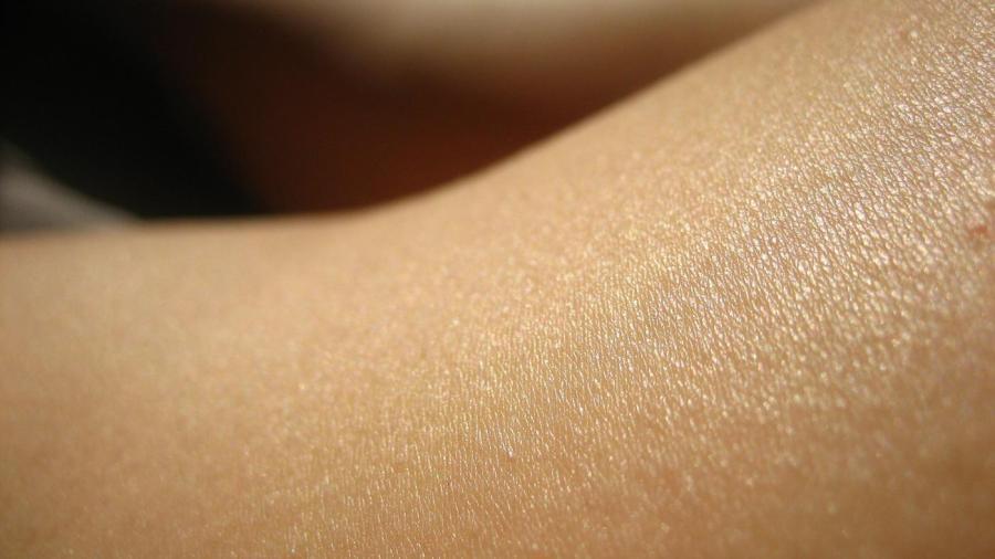 How Much Skin Do We Shed in a Day?