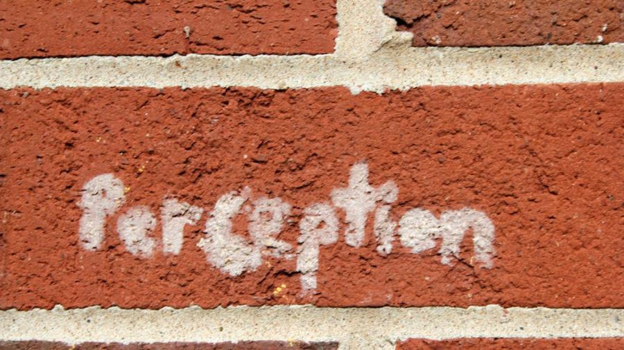 What Is Selective Perception?