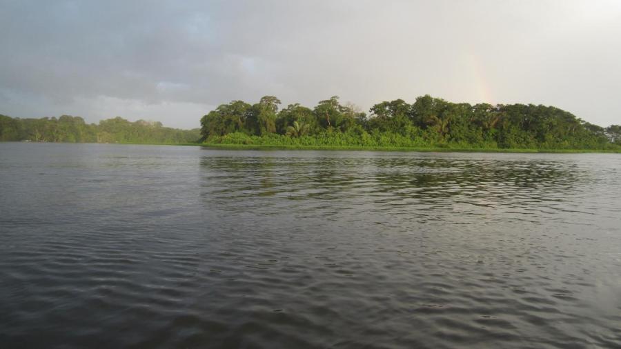 Why Is the Amazon River Important?