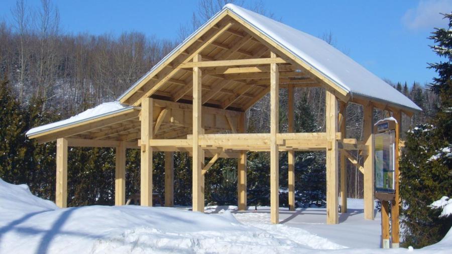 What Is the Process of Conversion for Timber?