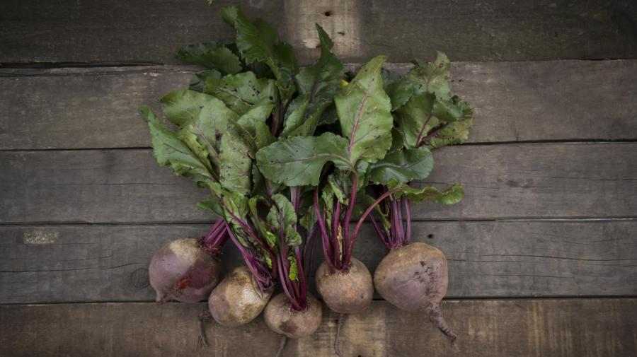 Are Beetroot Leaves Poisonous?