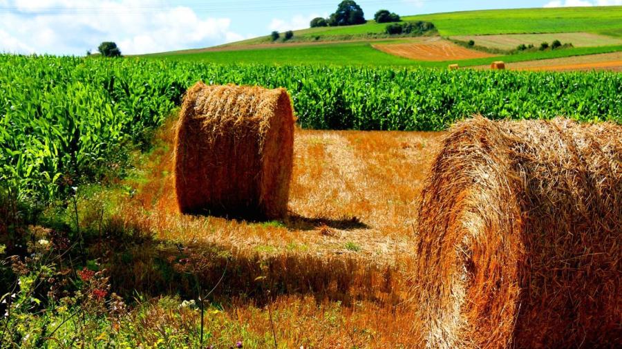 How Does Geography Affect the Way We Live?