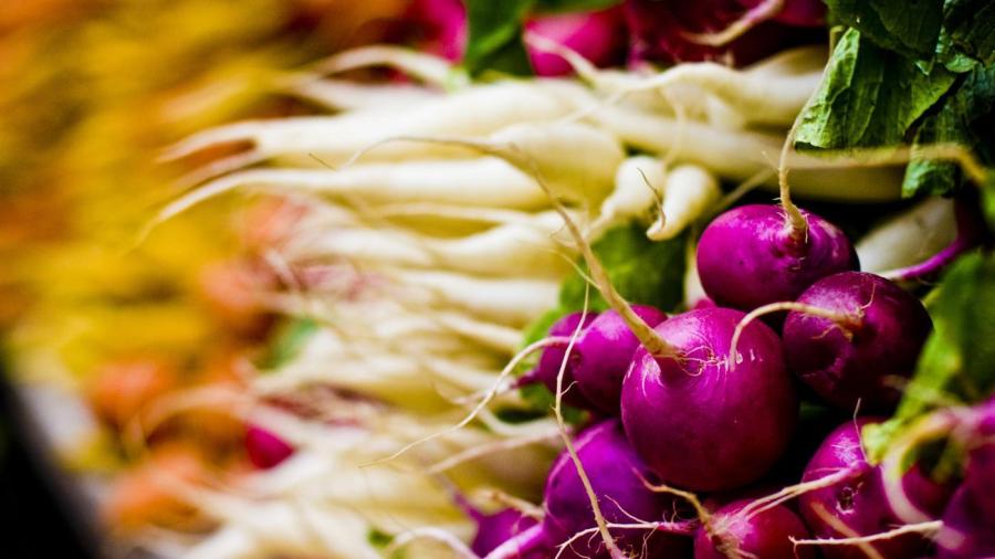 What Is the Difference Between a Root and a Tuber?