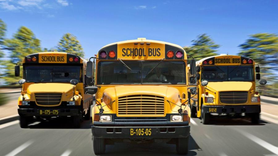 What Are the Dimensions of a School Bus?