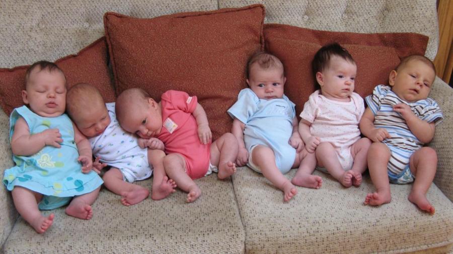 What Comes in Groups of Six?