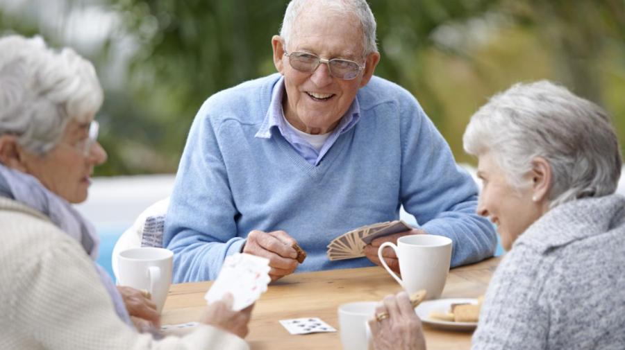 Are There Websites to Print Bridge Score Cards for Free?