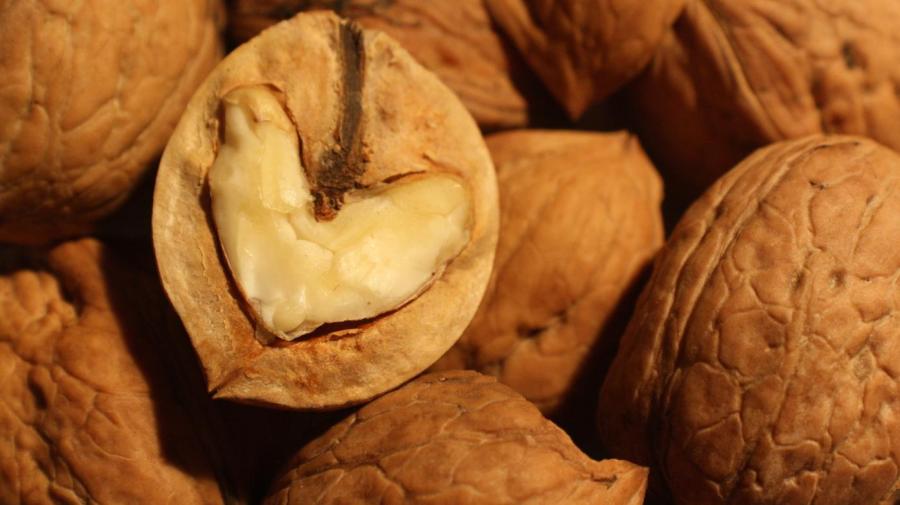 How Big Is a Walnut?